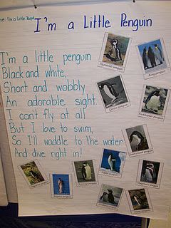 Antarctica Penguin Poems