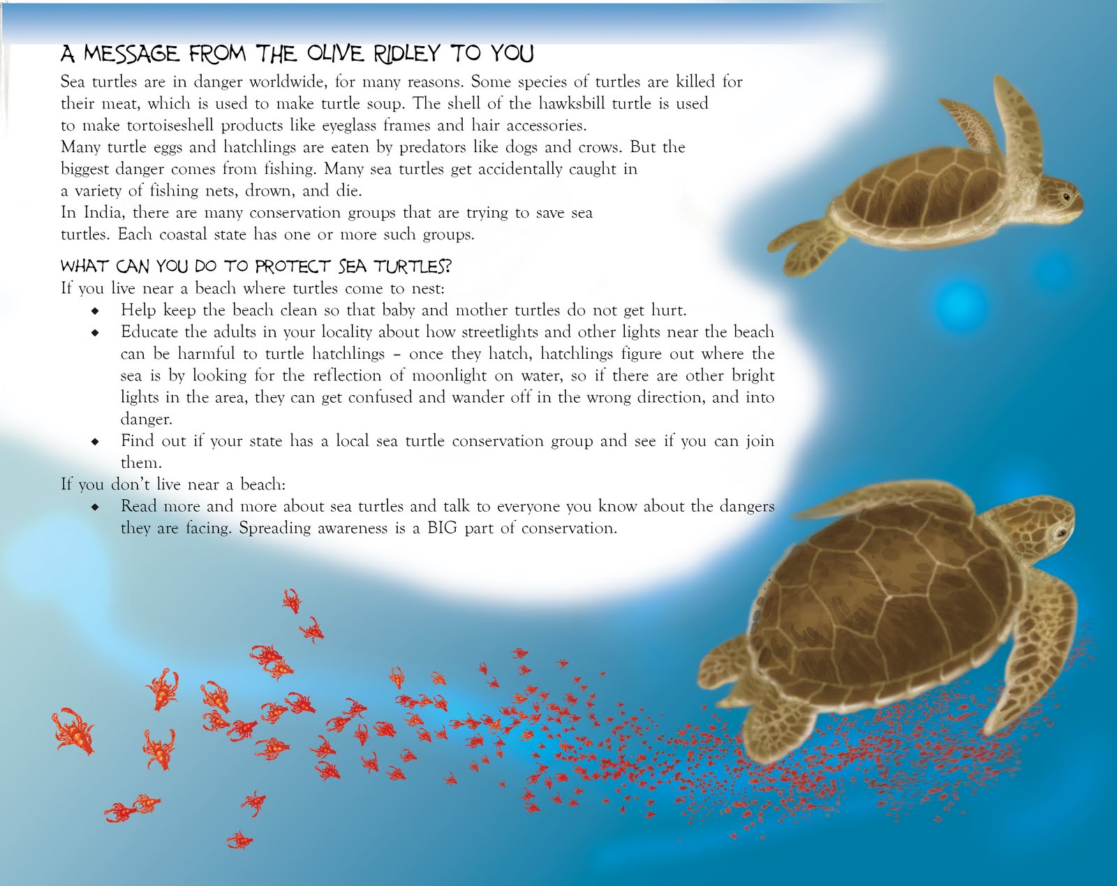 Turtle Island Quotes