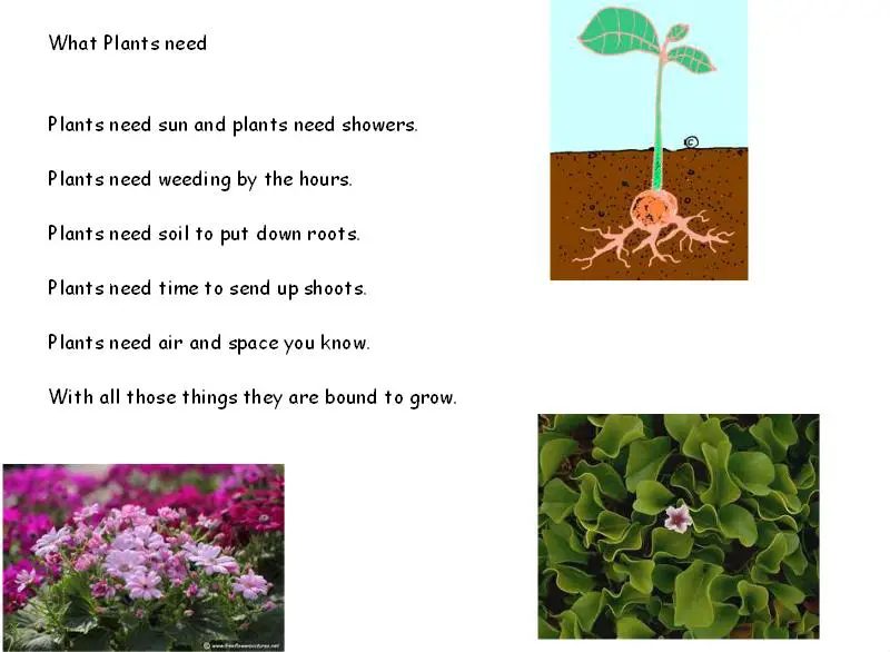 Plants Poems