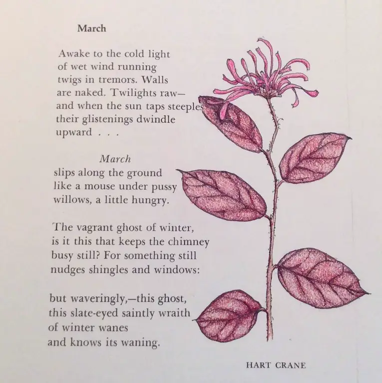 Plants Poems