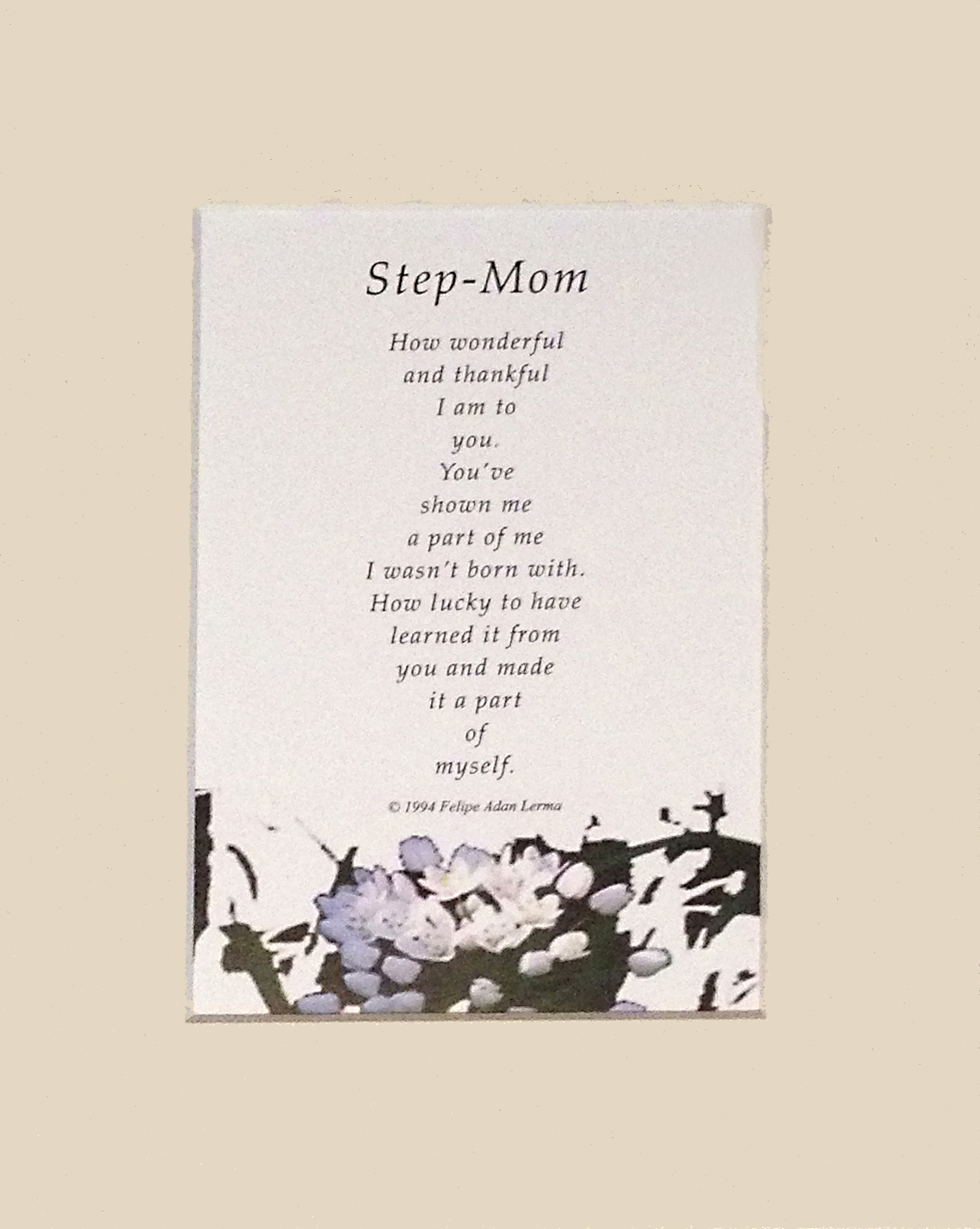 Step Mom Poems Quotes