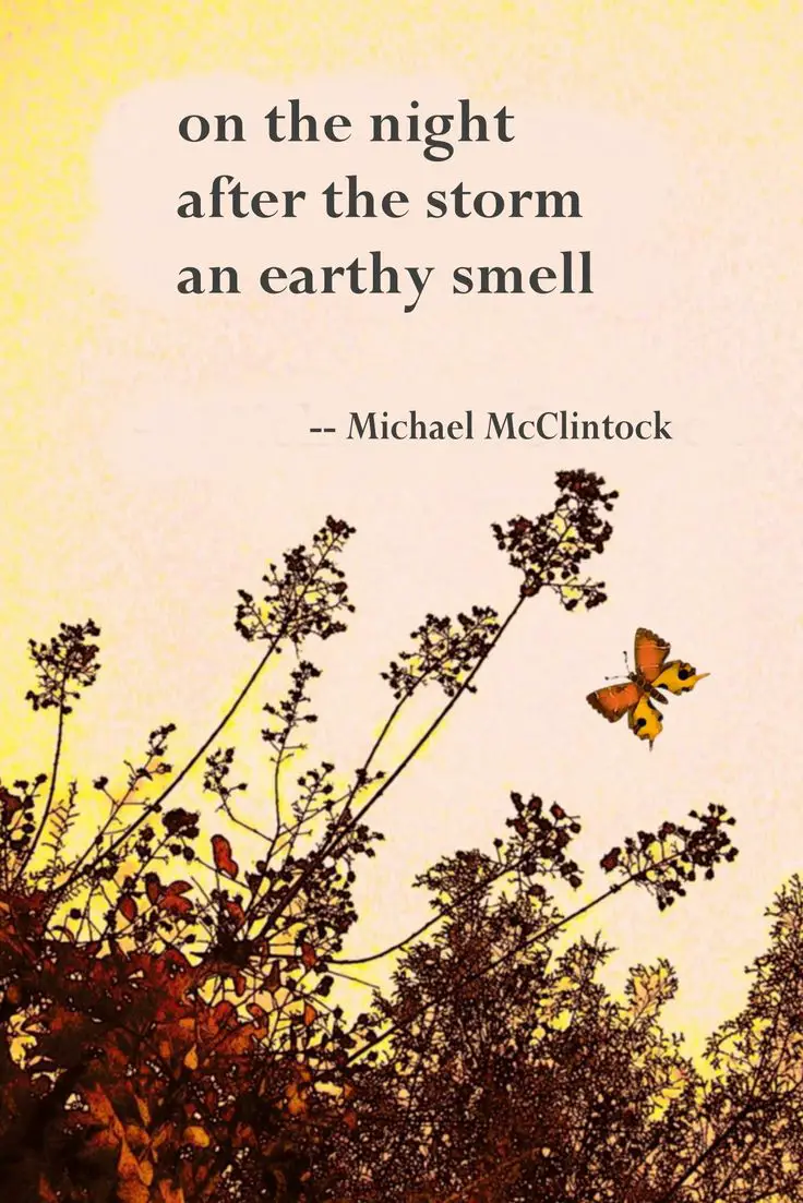 Football Haiku Examples