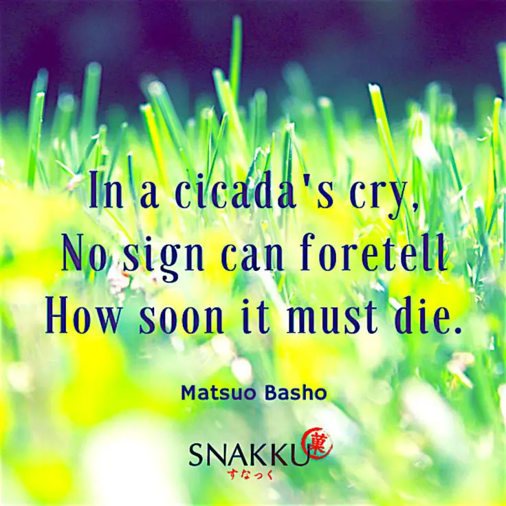 Good Haiku Poems good-haiku-poems