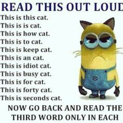 Minion Poems